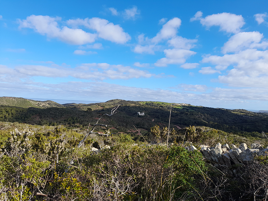 De Binideufà hasta el Pla de Sa Vinyeta - Alquiler de motos en ...